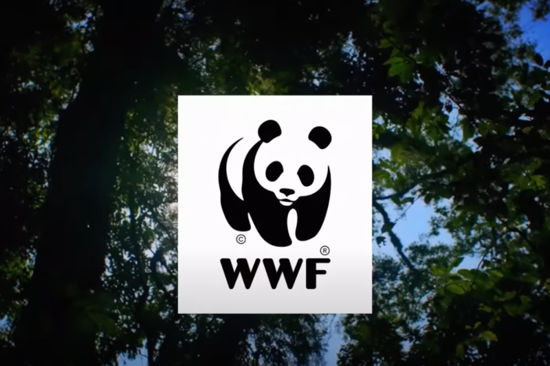 La campagna di WWF su YouTube – My Choice srl